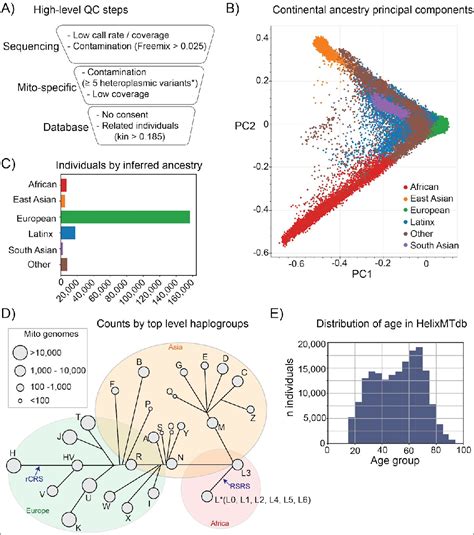Figure 1 From A Catalog Of Homoplasmic And Heteroplasmic Mitochondrial Dna Variants In Humans