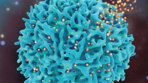 Accurate Quantification Of Interferon Gamma Across Immunoassay