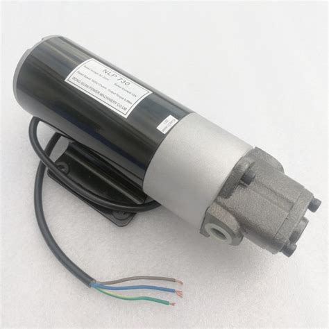 电动油泵小型自动加油泵柴油泵12v抽油机抽油器wsp 730厂家直销虎窝淘