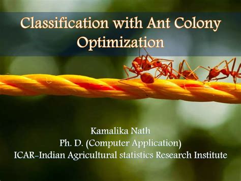 Classification With Ant Colony Optimization Ppt