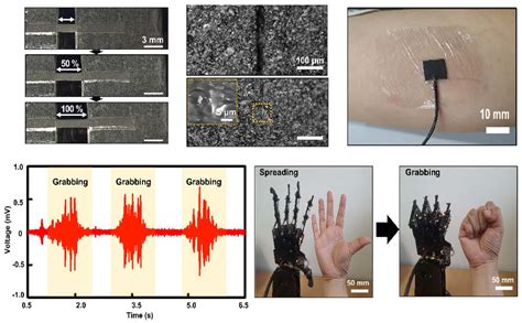 Stretchable And Self Healable Graphenepolymer Conductive Composite For Wearable Emg Sensor