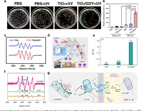 Figure 2 From Graphdiynemetal Oxide Hybrid Materials For Efficient