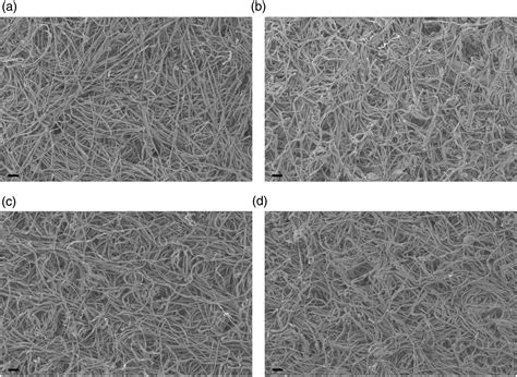 Interrelationships Between Cotton Fiber Quality Traits And Tensile