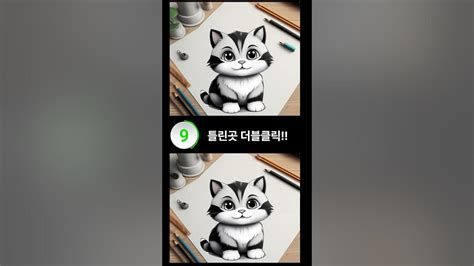틀린그림찾기종이위 고양이고양이 브리티시쇼트헤어 Youtube