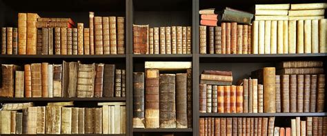 Moorman Lab Differential Effects Of Dorsal And Ventral Medial