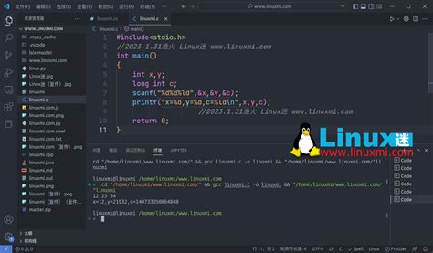 C 语言之顺序结构（下） Linux迷