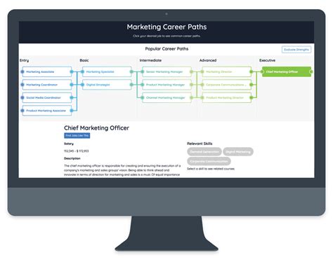 Career Paths