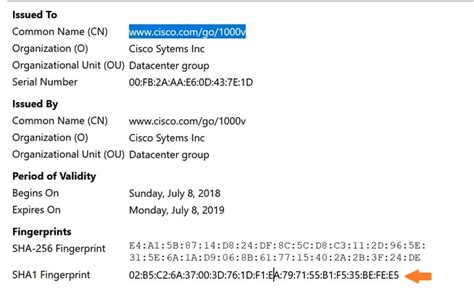 Installing Nexus VE Virtual Edge Cisco