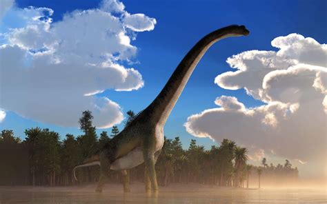 New Gigantic Sauropod Dinosaur Species Found In Chinas Jurassic Layers