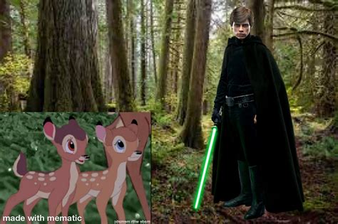 Gurri And Geno Meet Luke Skywalker By Stikbotzilla113 On Deviantart