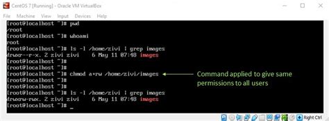 Unlocking Linux File Permissions: A Guide to Using the chmod Command