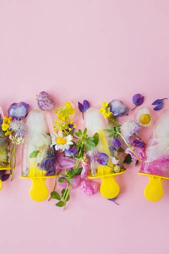 꽃 얼음 팝 분홍색 배경 플랫 평지와 신선한 여름 꽃에 얼어 붙은 아이스캔디와 얼음 조각의 다채로운 야생화 공간을 복사합니다 안녕하세요 여름 개념 크리에이티브 브라이트