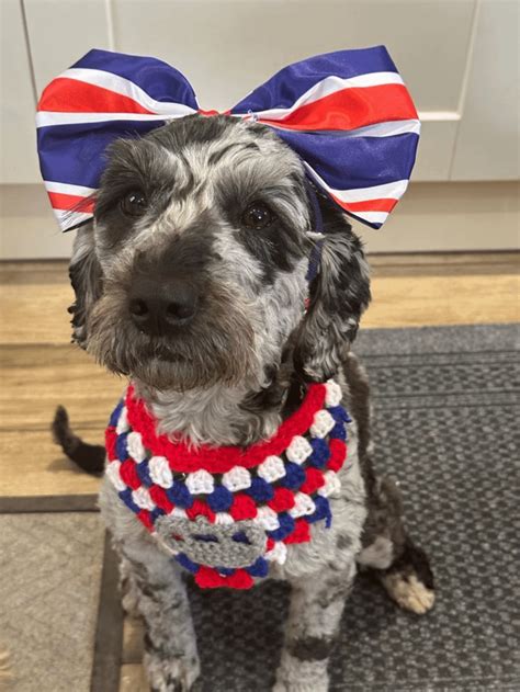 Lady Poppington Is Ready For Corry Nates Rcasualuk