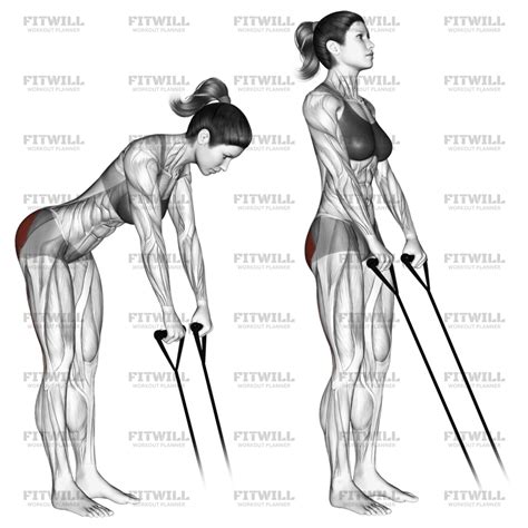 Band Hip Extension Exercise Guide Techniques Benefits How To Muscles Worked Tips And Tricks Band Hip Extension Exercise Guide Techniques Benefits How To Muscles Worked Tips And Tricks