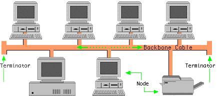 Networking DCCN Bus TOPOLOGY