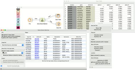 Orange Data Mining Undefined
