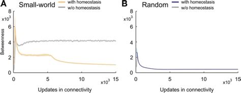 Changing Betweenness Centrality Over Time A Small World Networks Download Scientific Diagram