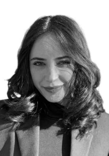 Matea Rexhepi Alber And Geiger European Lobbying Diplomacy Litigation