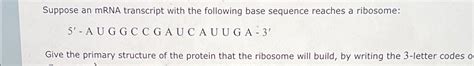 solved suppose an mrna transcript with the following base