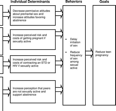 Logic Model For Teenage Pregnancy Questfeeds