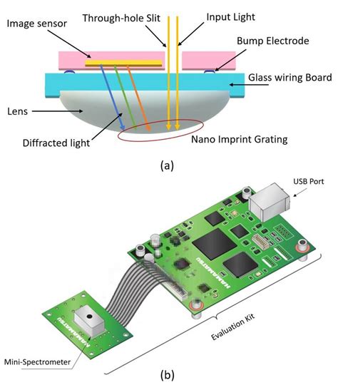 Schematic Of A Working Principle And Structure Of The Sensor B Download Scientific Diagram