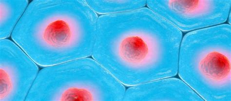 Presentation Recap A Look Into Rapid Microbial Contamination Detection In Samples With Cells