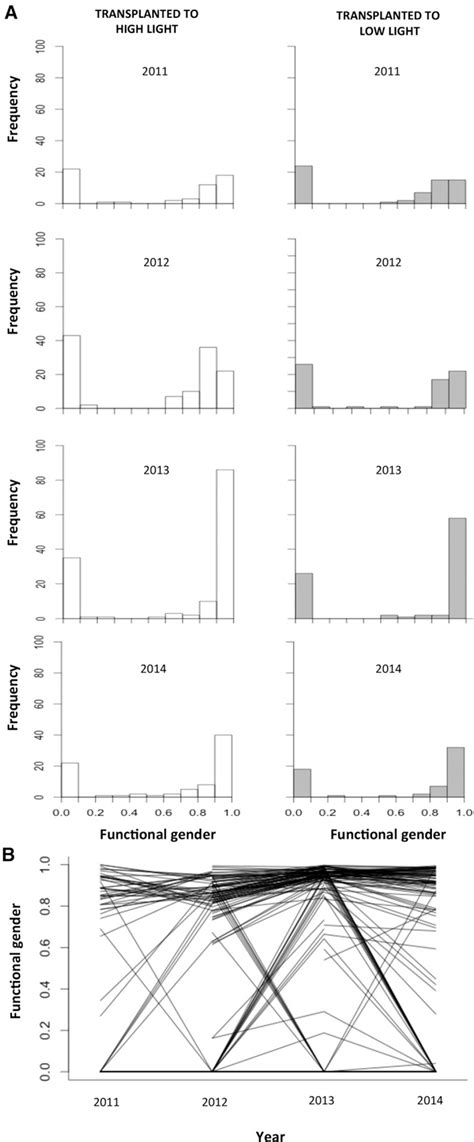 American Journal Of Botany
