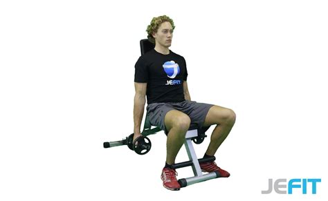 Hammer Curl Machine
