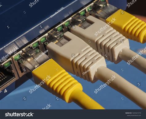 Modem Router Switch Ports Rj Plug Stock Photo Shutterstock