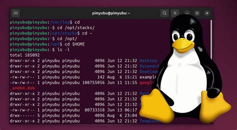 Adding A Directory To The Path Variable On Linux Pi My Life Up