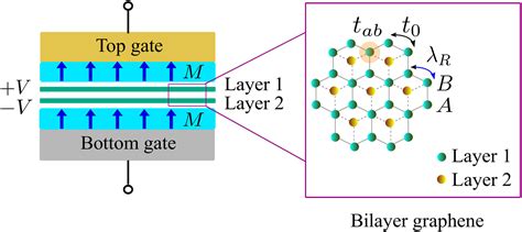 Gate Tunable Circular Phonon Dichroism Effect In Bilayer Graphene Iscience