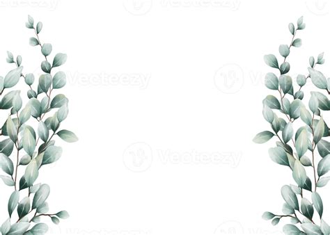 Eucalyptus Frame Watercolor 16407121 Png
