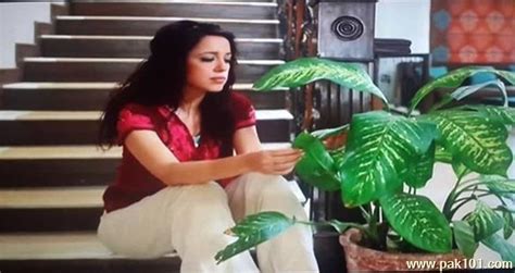 Gallery Models Female Shazia Naz Shazia Naz Pakistani Female