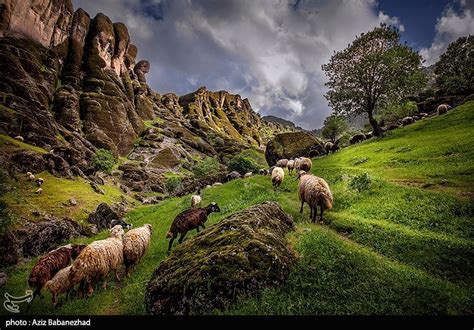 حیرانی بهار در لرستان تلاقی آبشارها و صخره ها در هفت حوض تصاویر