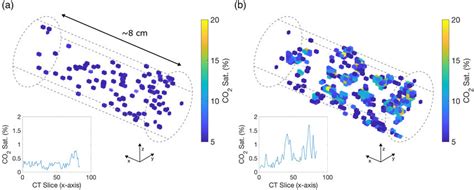 3 D And Slice Average Co 2 Saturation Distribution In Sample Dos A