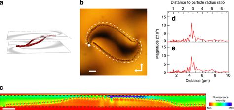 Templated Three Dimensional Assembly Of Colloidal Particles A