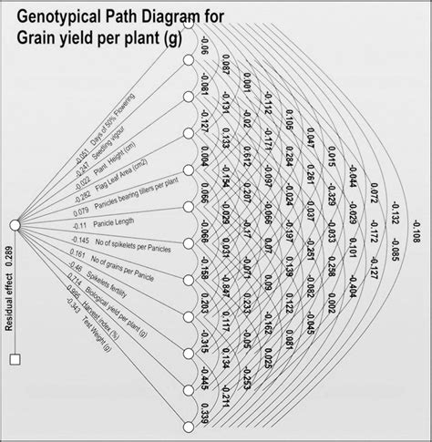 The Path Coefficient Pc Diagram Representing Cause And Effect Download Scientific Diagram
