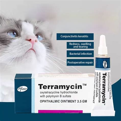 Terram Ycin Eye Ointment For Catseye Ointment Eye Care And Personal
