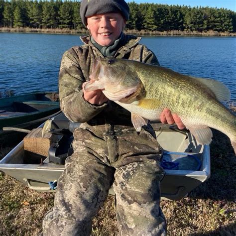 Avery Turner Youtube