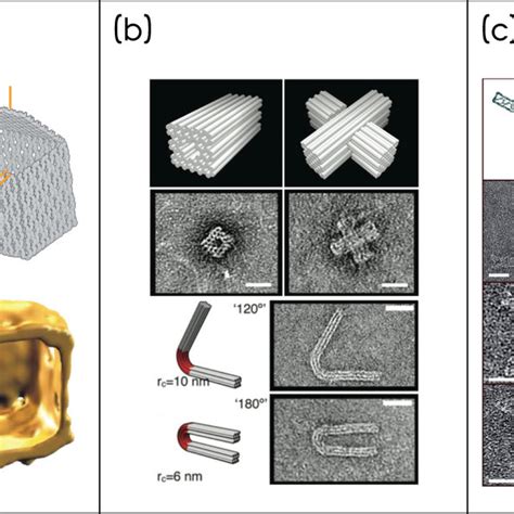 Examples Of 3d Dna Nanostructures Formed Using The Dna Origami Download Scientific Diagram