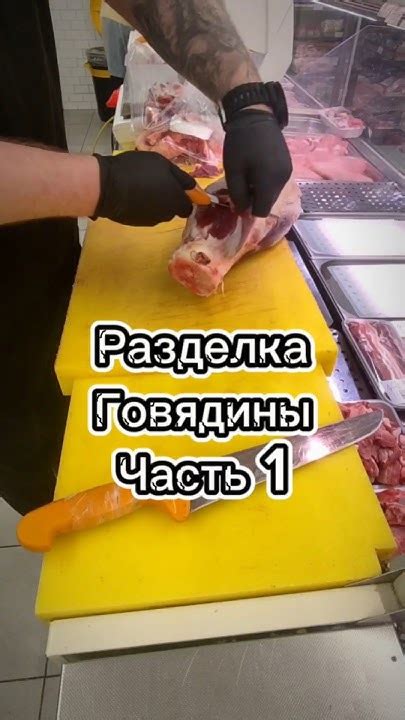 Часть 1 Голяшка без кости Разделка Говядины мясо говядина еда Meat Beef Food Shorts