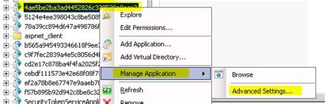 Troubleshoot Sharepoint Service Application Website Issue From Iis