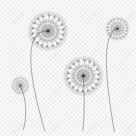 손으로 그린 선 그리기 일러스트 민들레 소비어 있는퍼프 Png 일러스트 무료 다운로드 Lovepik