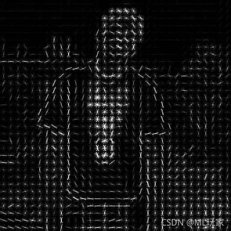 Hog算法 Csdn博客