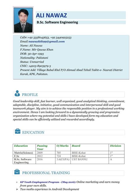 Ali Cv Formate 1 Pdf
