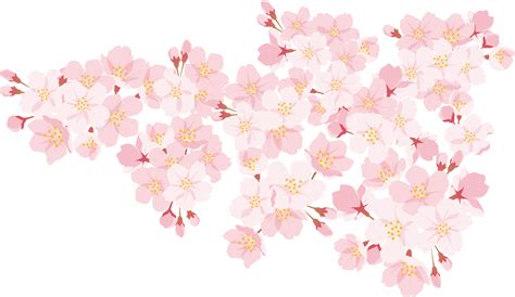 School Illi Sakura 18 【公式】ちいき新聞｜千葉・茨城の近隣集客、チラシ･ポスティングならフリーペーパー「ちいき新聞」