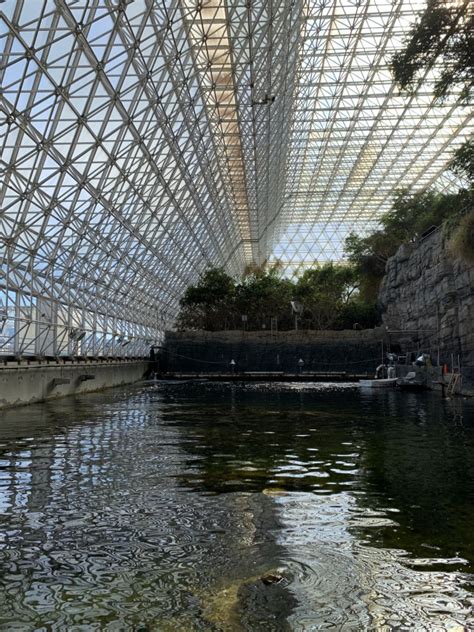 Five Things To Know About Arizonas Only Ocean Planet Forward