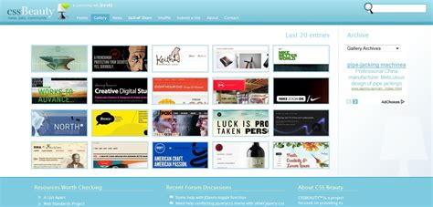 css beauty tutorialchip