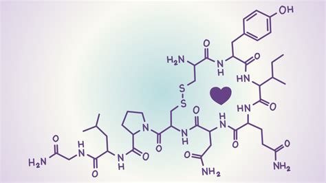 Oxytocin Molecular Structure