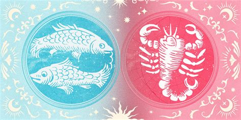 What Zodiac Sign Goes With Scorpio 60 Photos